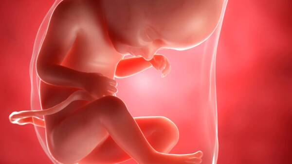 Does Running While Pregnant Shake the Baby? Uncovering the Truth - The ...
